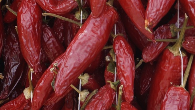 Cinque piatti tipici calabresi da provare assolutamente | TheFork blog